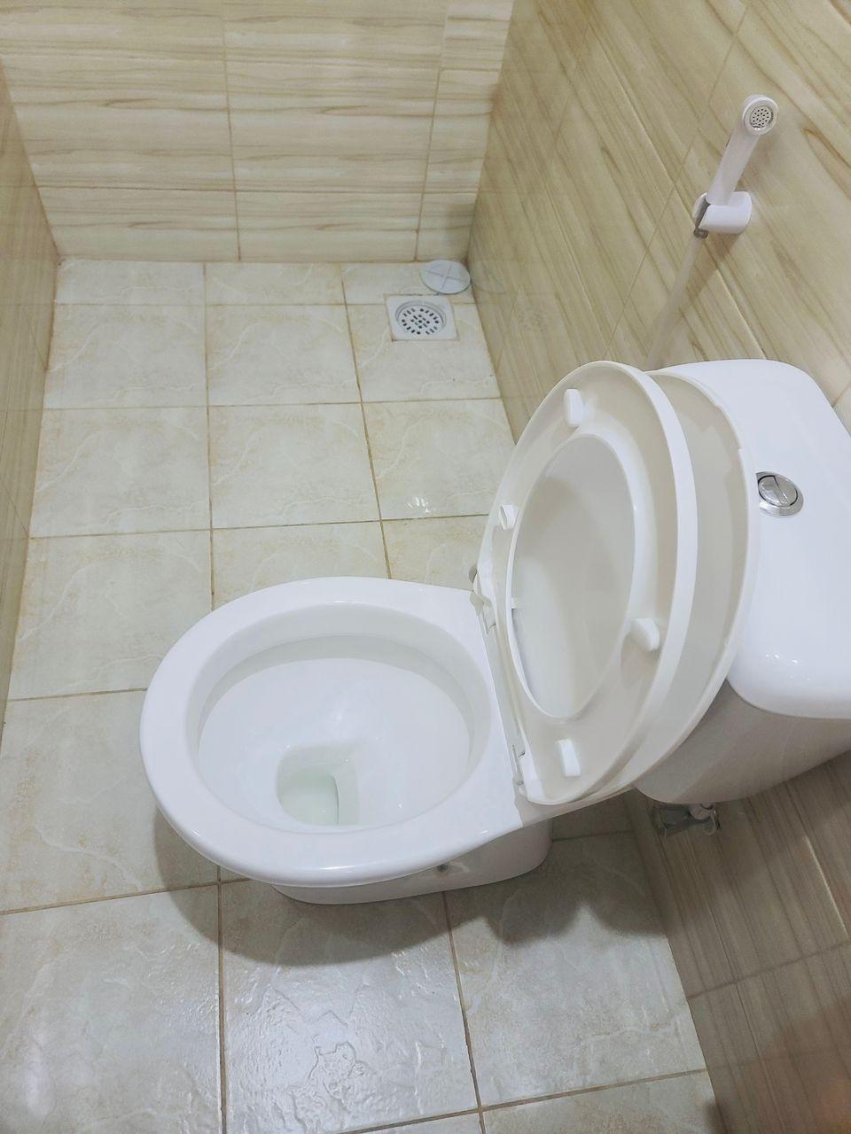 Intercity Property Hub: Safari Villa for Rent